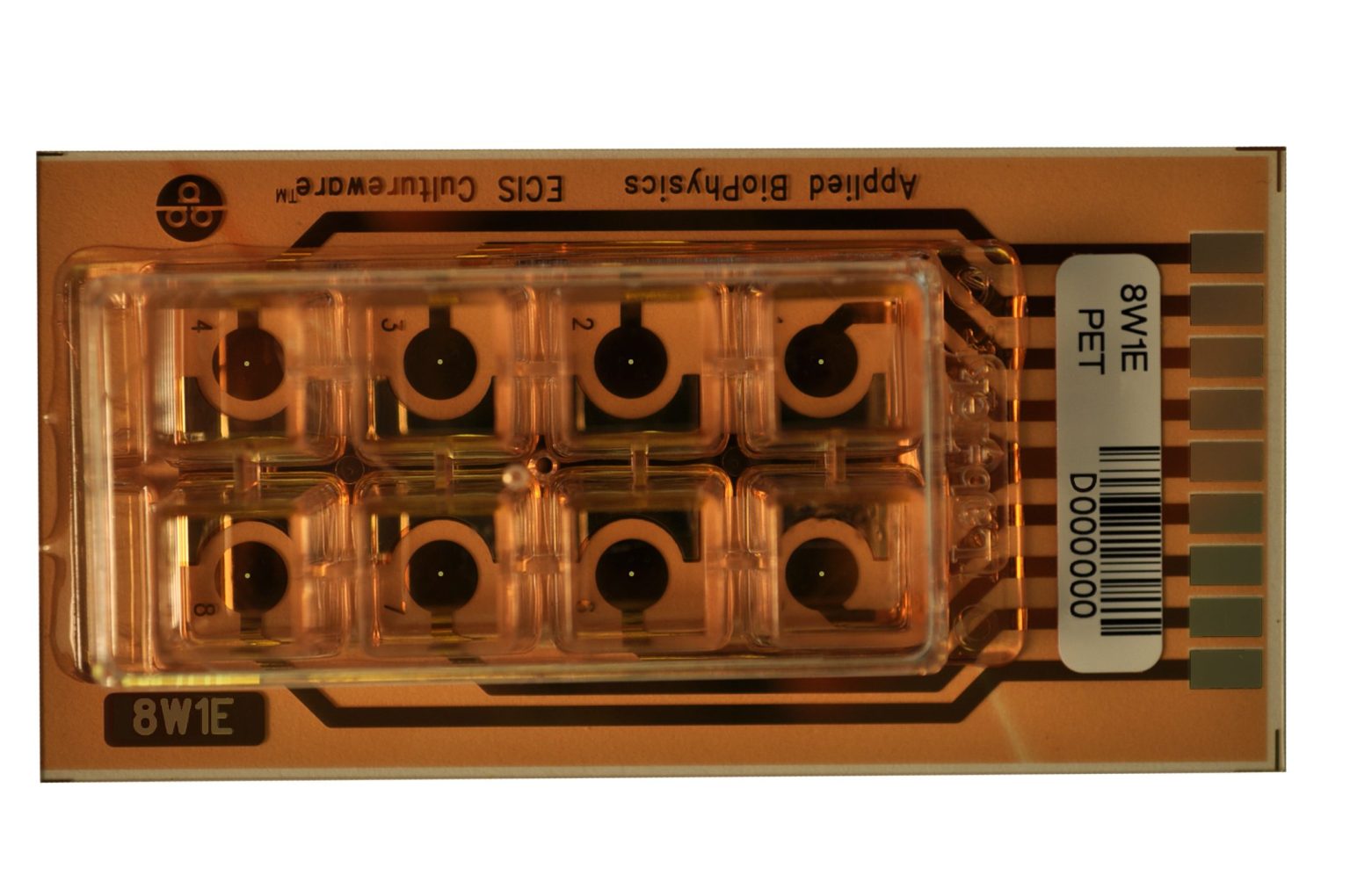 Standard 8-Well Arrays - Dunn Labortechnik GmbH