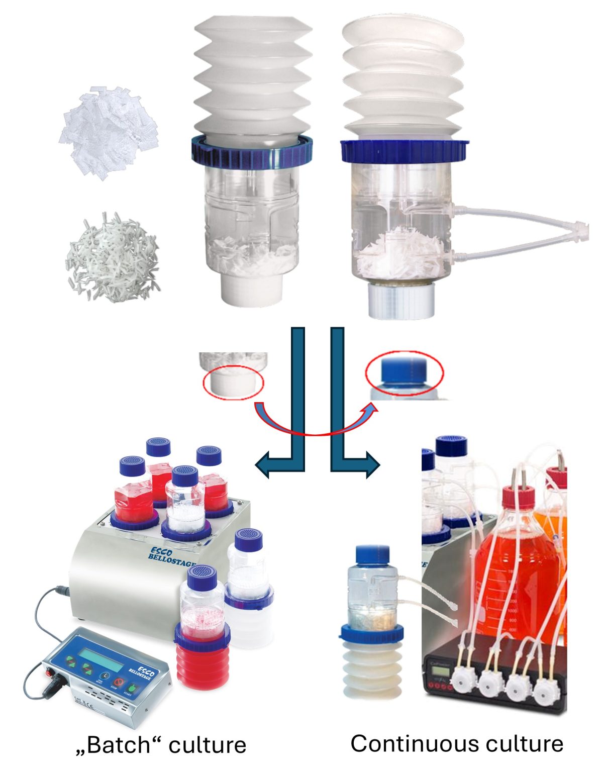 BelloCell®- 500 Culture Bottles for BelloStage® Compressor - Dunn ...